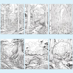 Forest Landscape Coloring Book Adults Activities Kids Activity ...