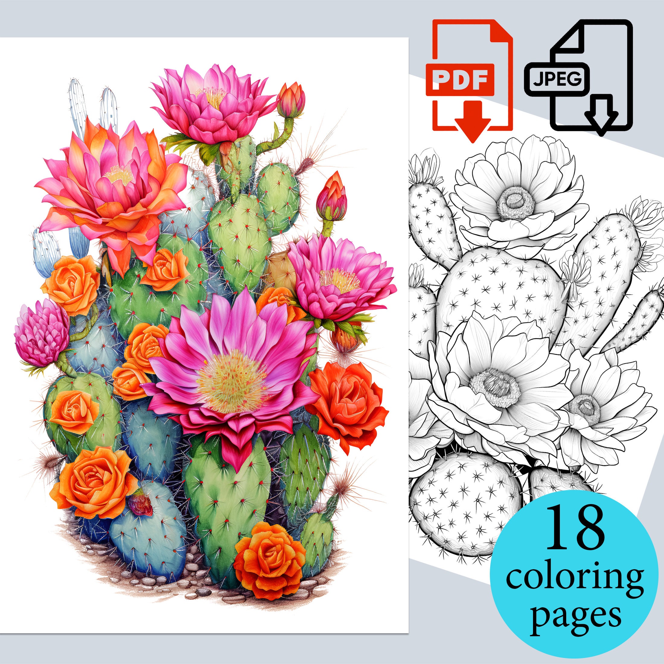 Floral Cactus Coloring Book Flowers Coloriage Pages Kids Adult Digital ...