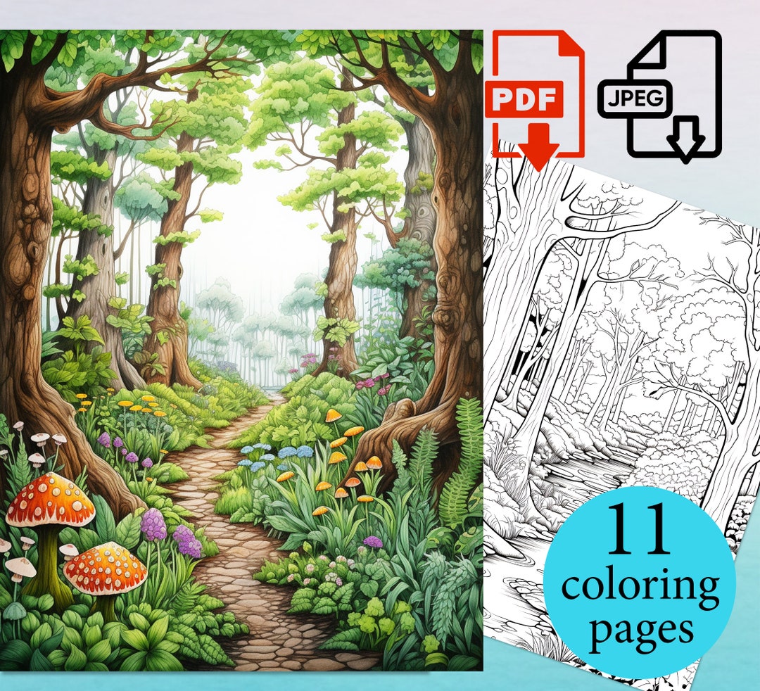Forest Landscape Coloring Book Adults Activities Kids Activity ...