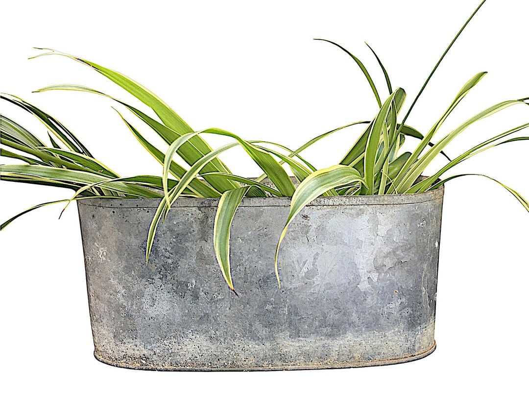 Antique Small Oval Zinc Wash Basin – Patinated Galvanized Tin – Early ...