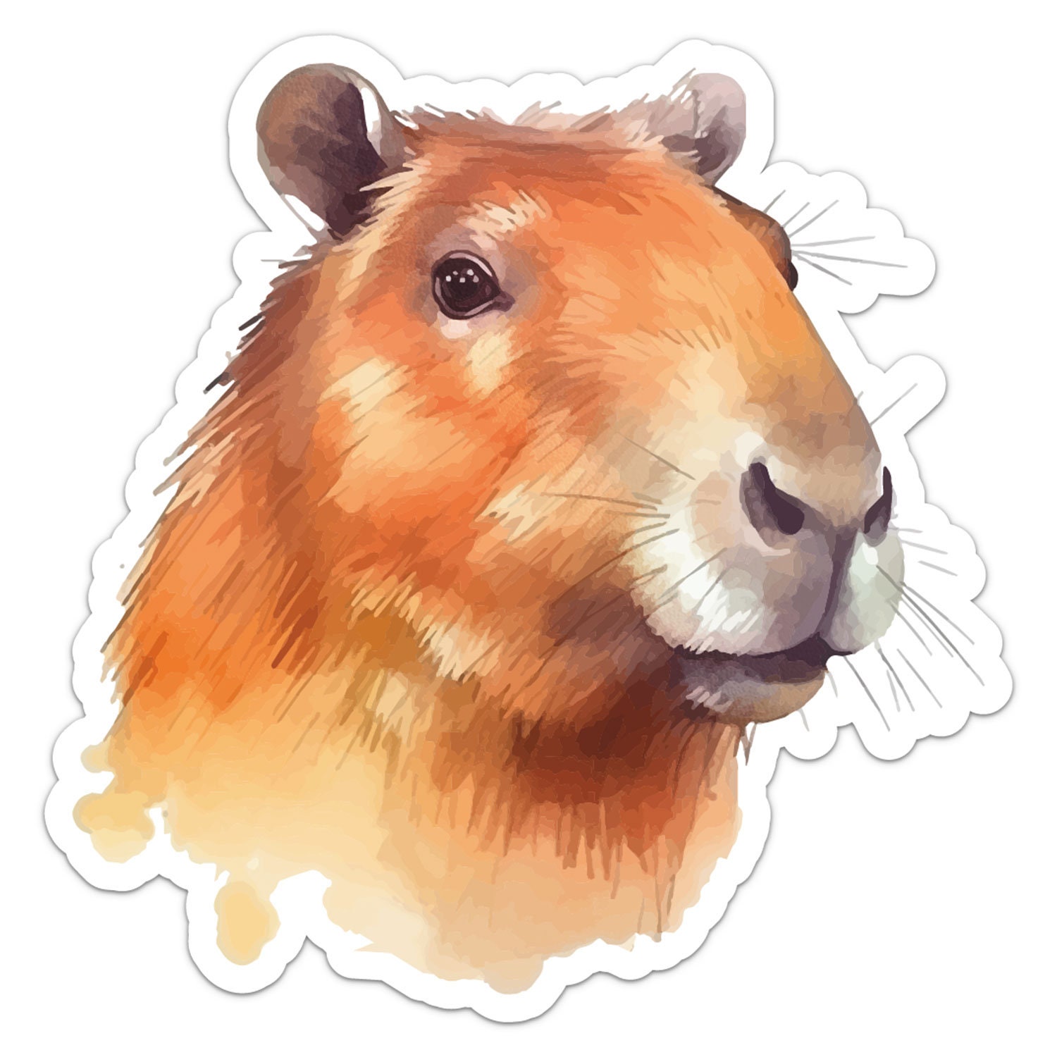 Capybara Sticker Vinyl Car Bumper Decal - Etsy