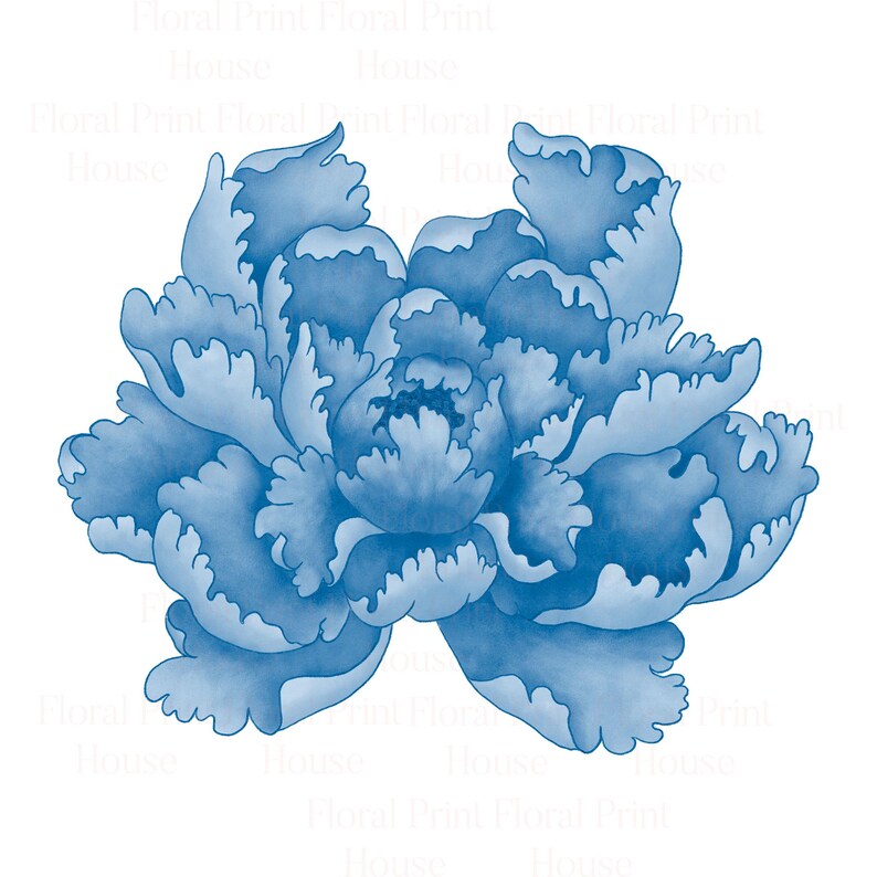 Peony Clip Art Set – Hand Drawn Digital Watercolour Flowers in Coral ...