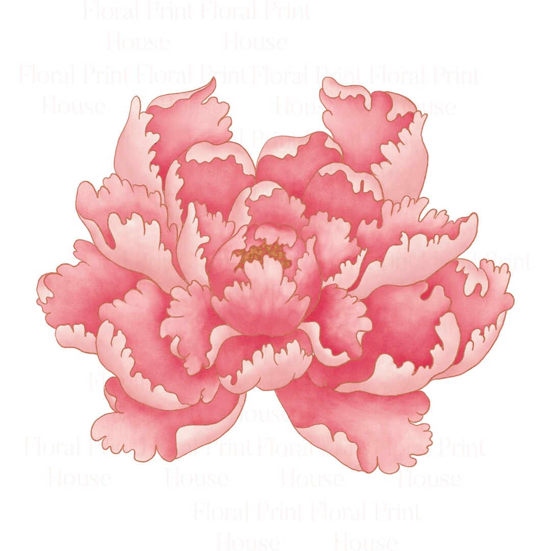 Watercolor Peony Clip Art Set: Coral & Blue Floral Illustrations (PNG ...