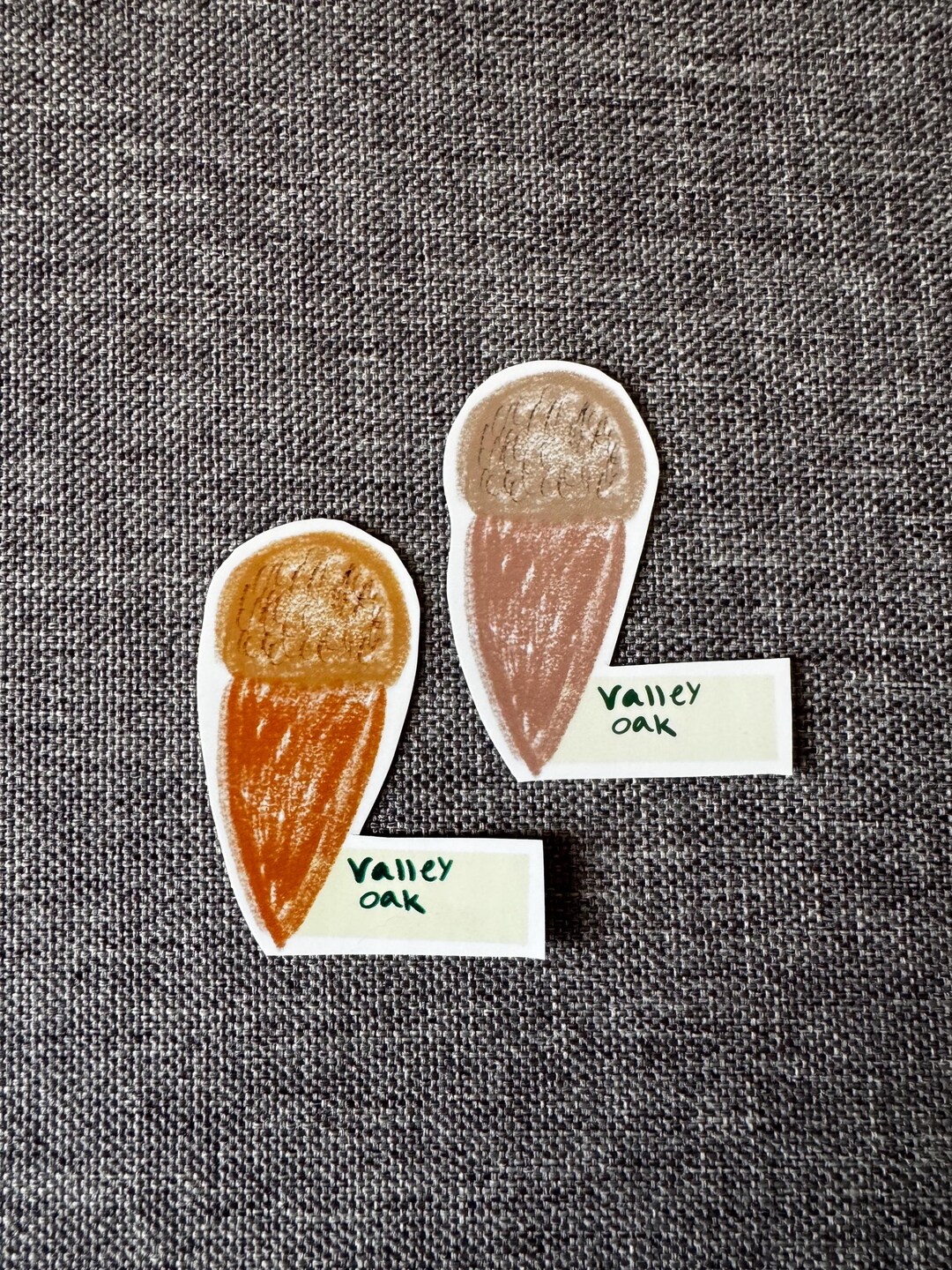 Valley Oak- Acorn Sticker - Etsy