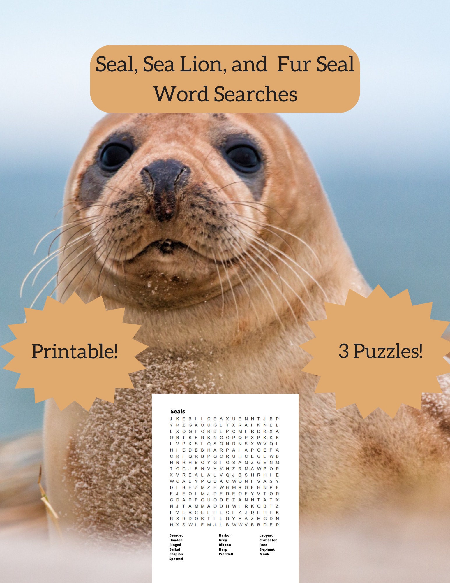 Seals Sea Lions and Fur Seals Printable Animal Word Search With Large ...