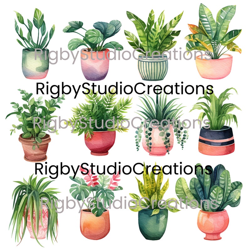 Watercolor House Plants Clip Art Digital Download High-quality Images ...