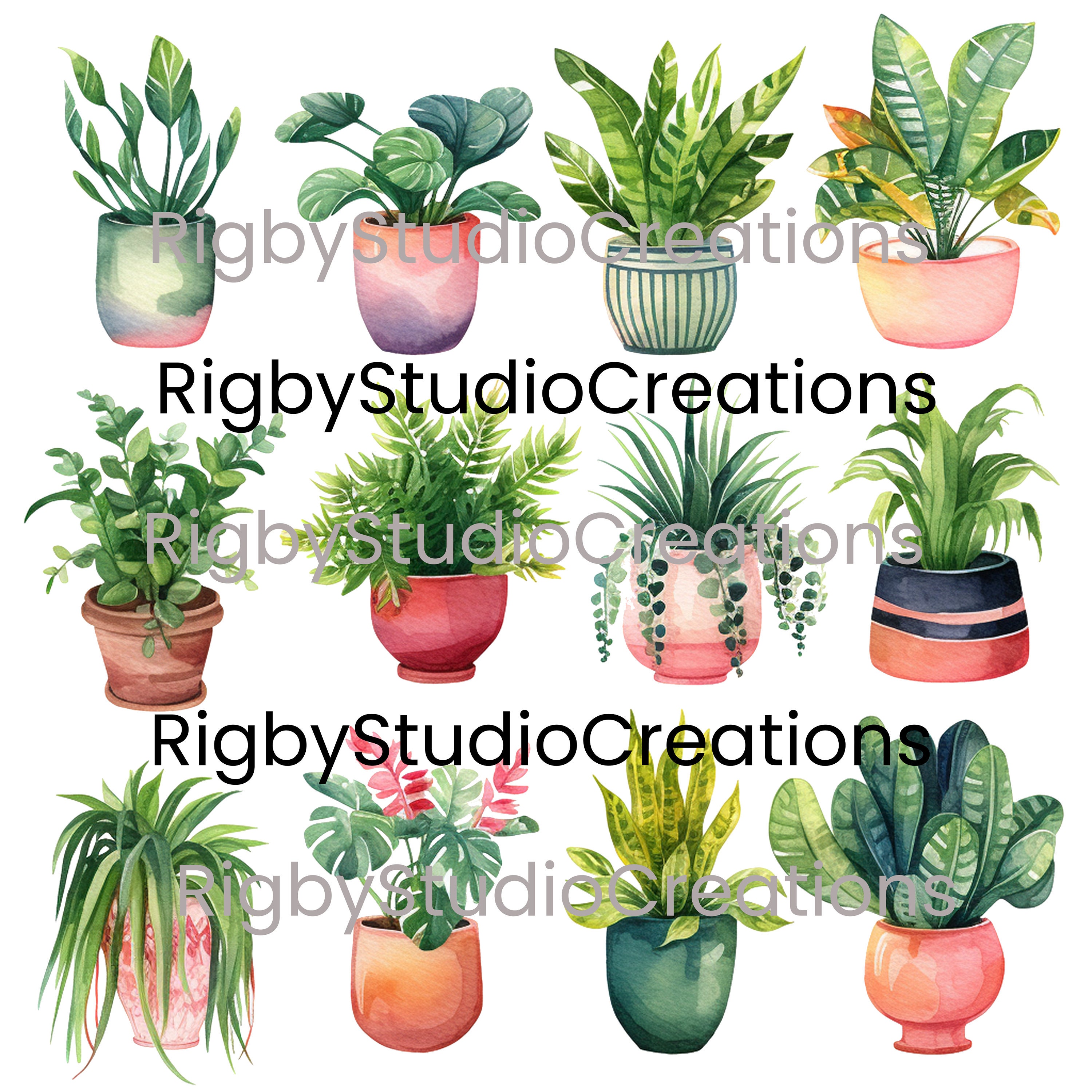 Watercolor House Plants Clip Art Digital Download High-quality Images ...