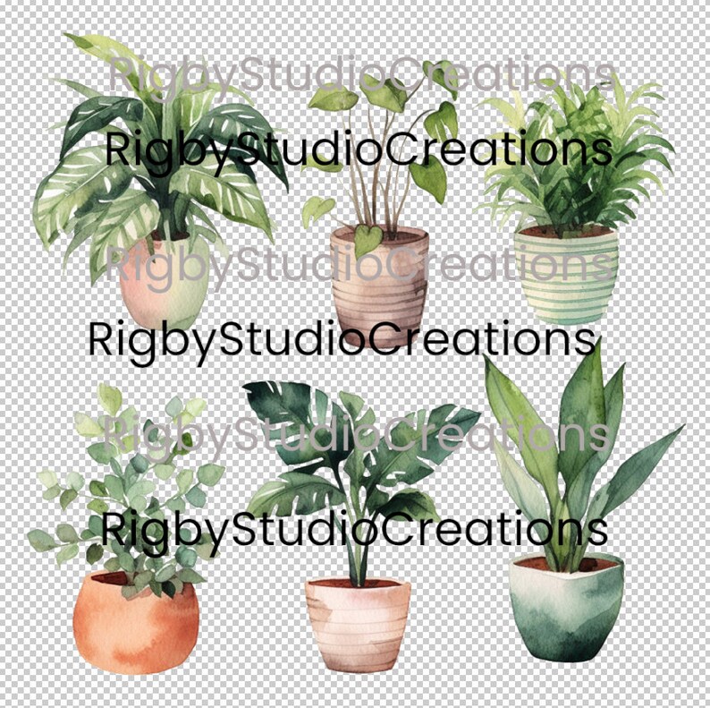 Watercolor House Plants Clip Art Digital Download High-quality Images ...