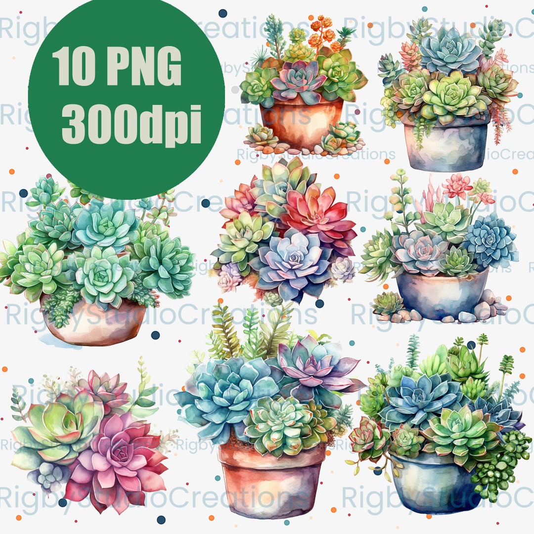Watercolor Succulent Clipart, Digital Download High-quality Images ...