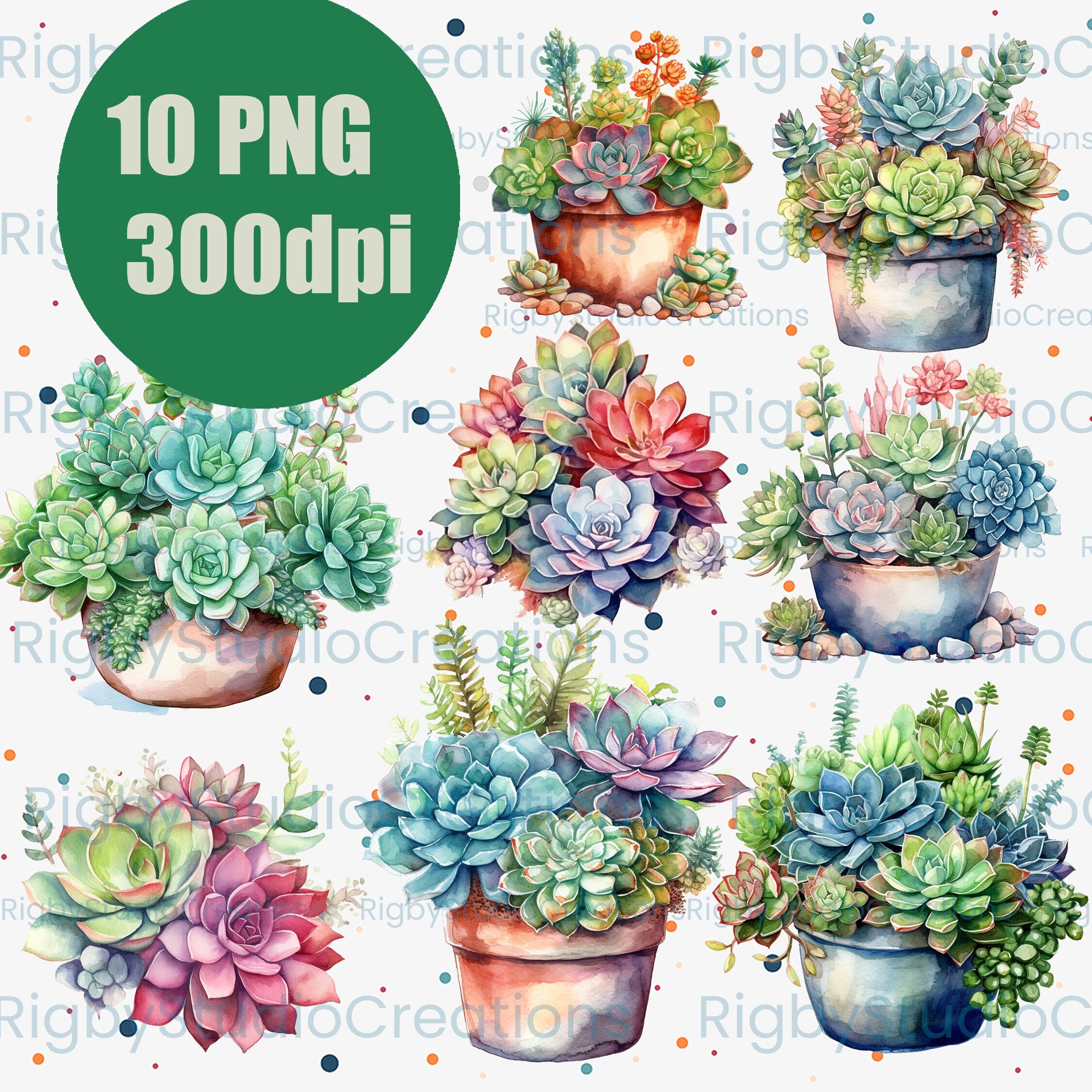 Watercolor Succulent Clipart, Digital Download High-quality Images ...