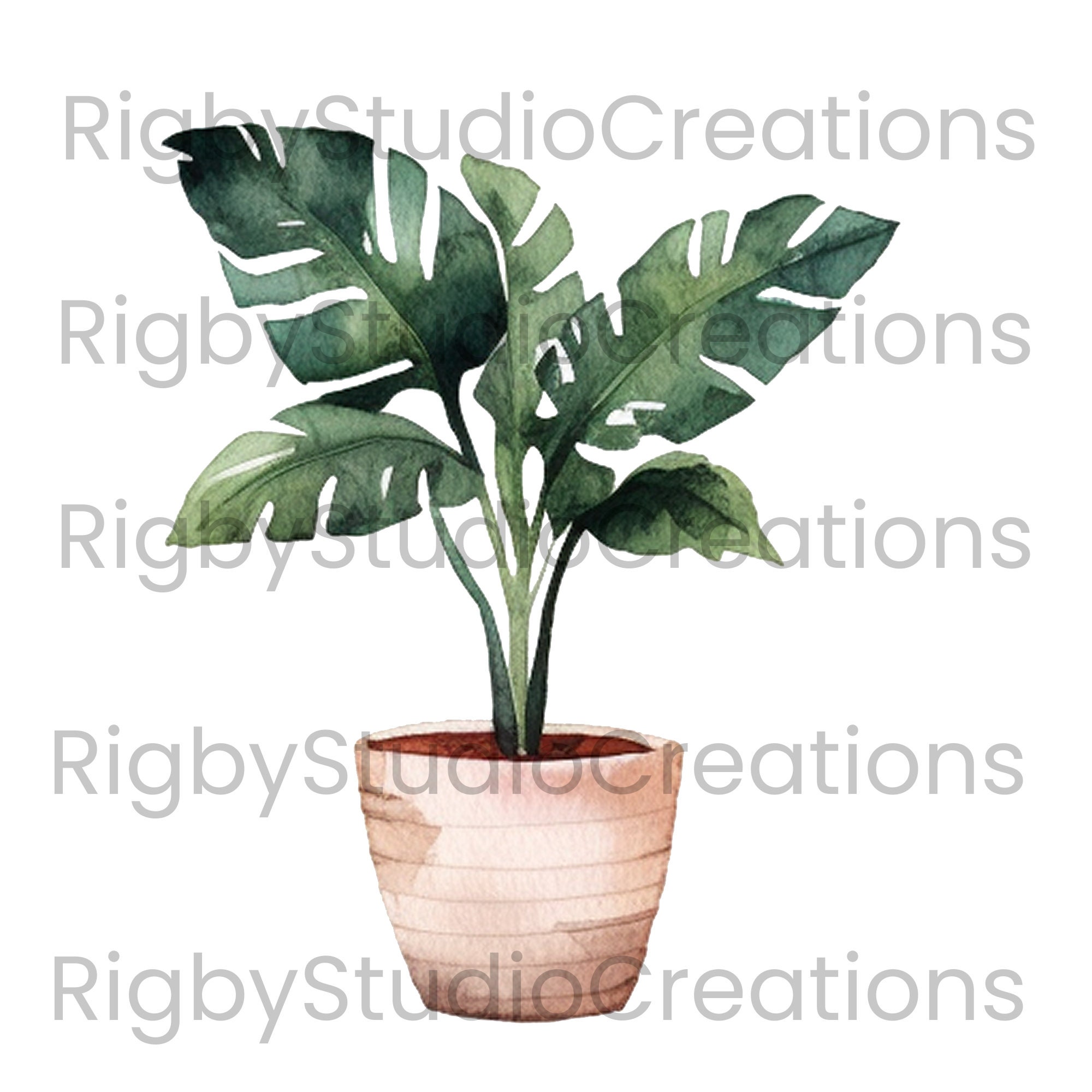 Watercolor House Plants Clip Art Digital Download High-quality Images ...