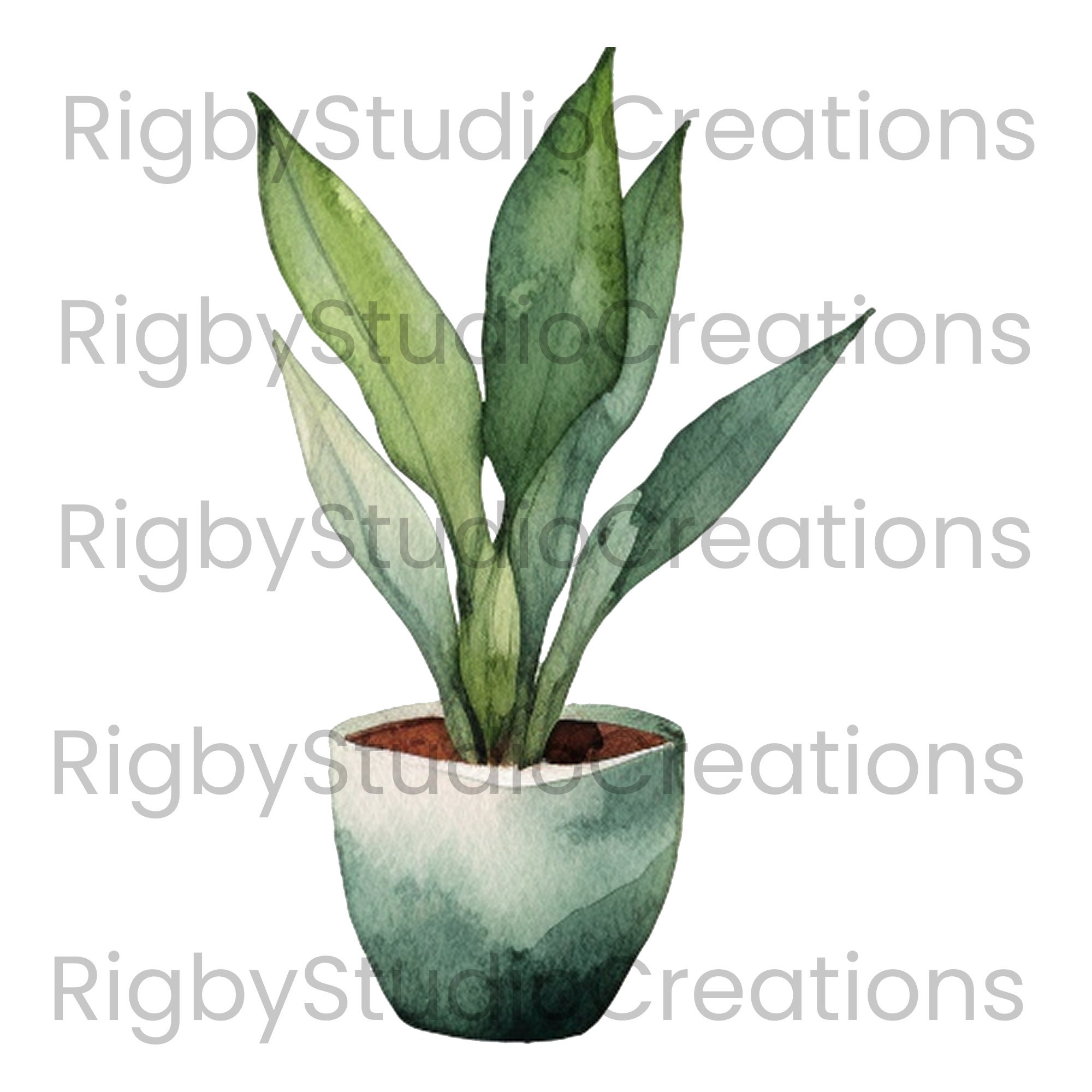 Watercolor House Plants Clip Art Digital Download High-quality Images ...