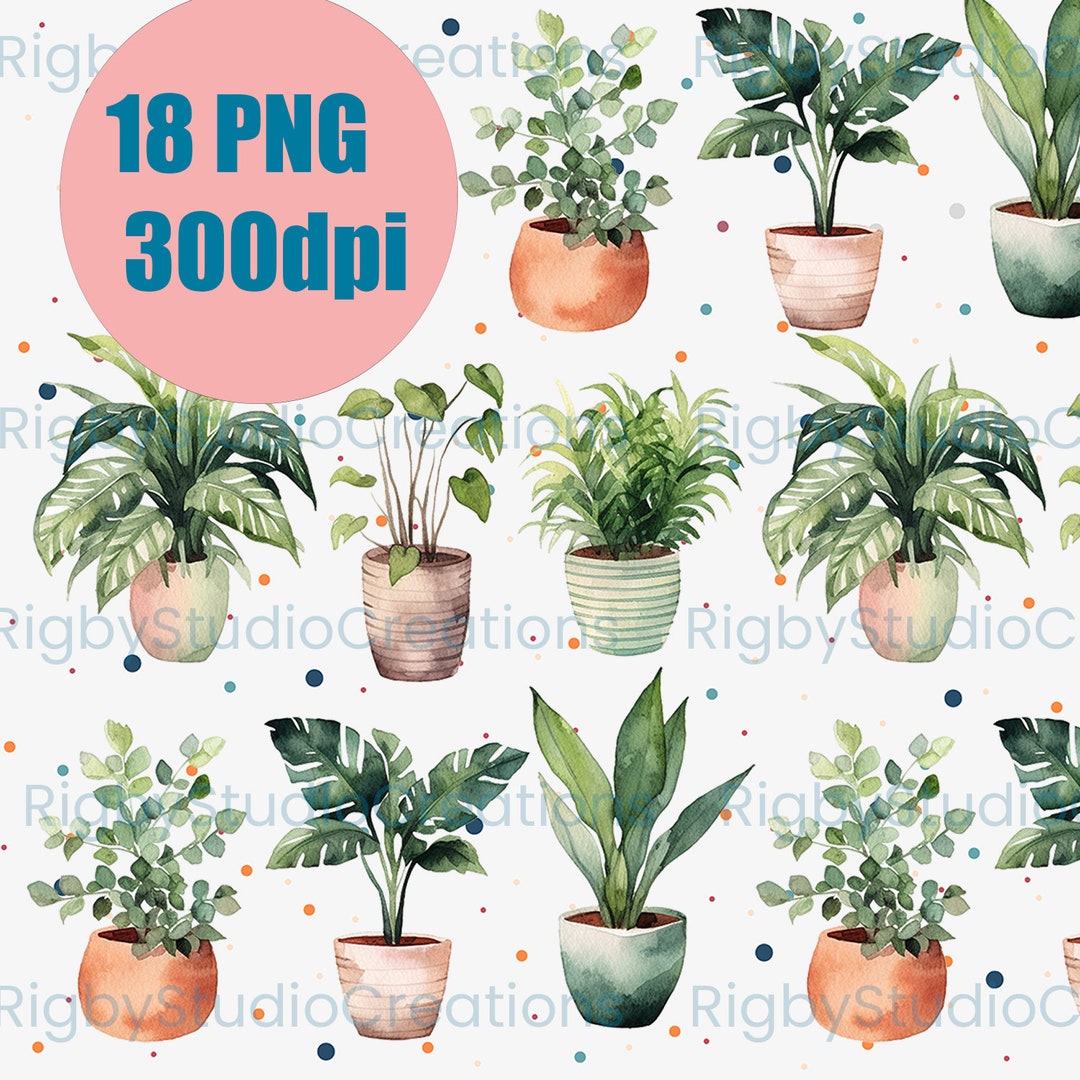 Watercolor House Plants Clip Art Digital Download High-quality Images ...