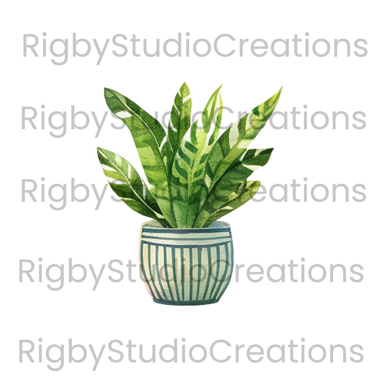 Watercolor House Plants Clip Art Digital Download High-quality Images ...