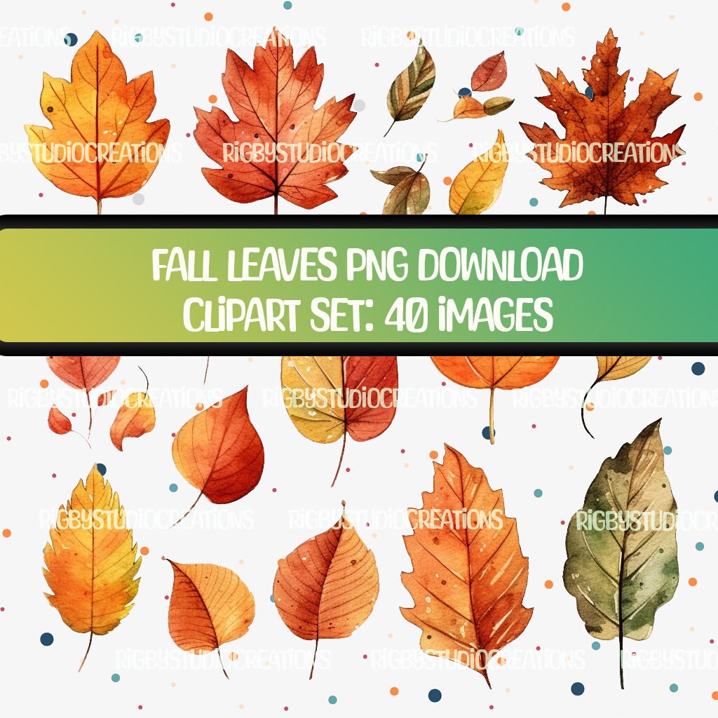 Fall Leaves PNG Download, Clipart Set: 40 Images; Watercolor Fall ...