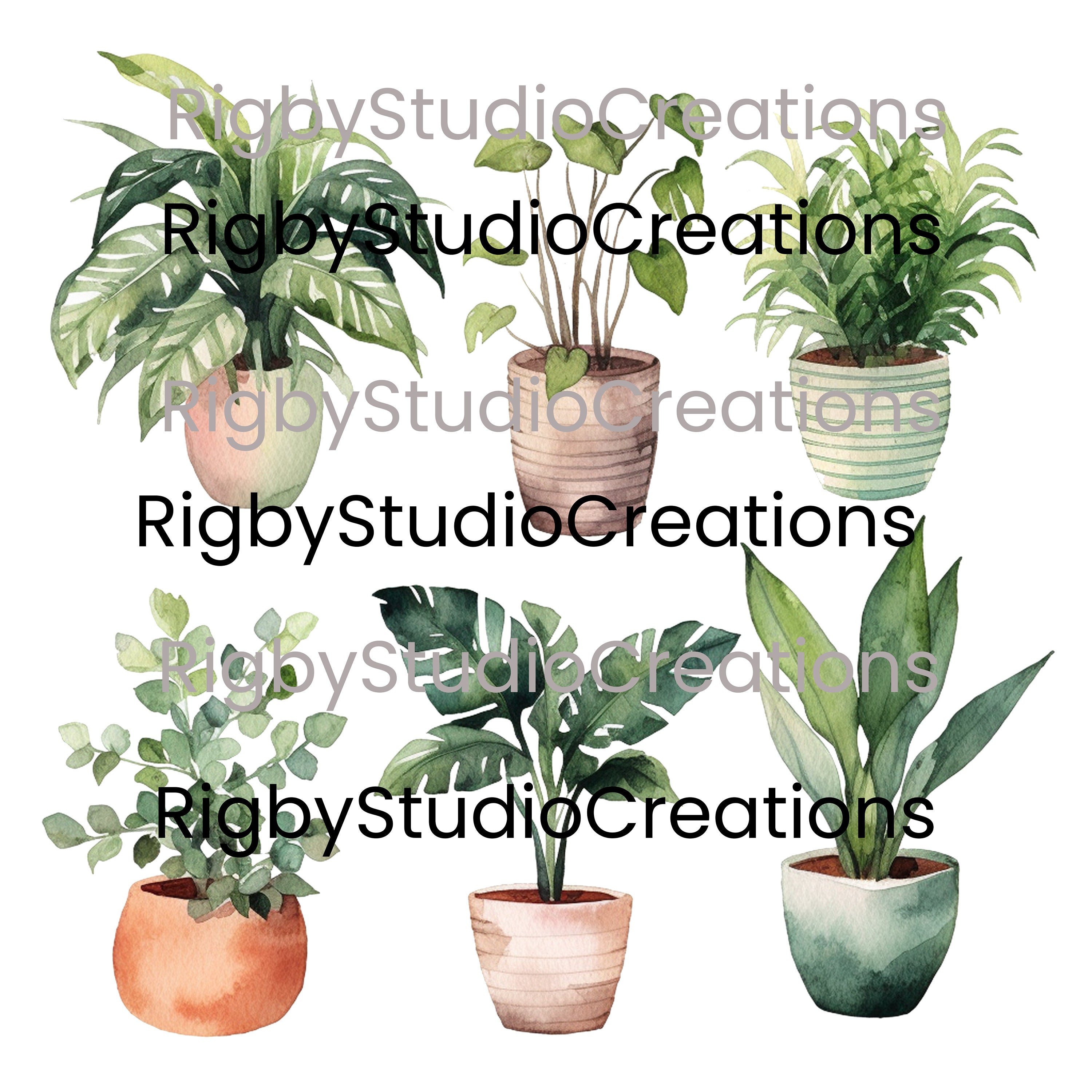 Watercolor House Plants Clip Art Digital Download High-quality Images ...