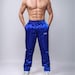 Royal Blue Shiny Satin Track Pants – Glossy Athletic Joggers With Mesh ...