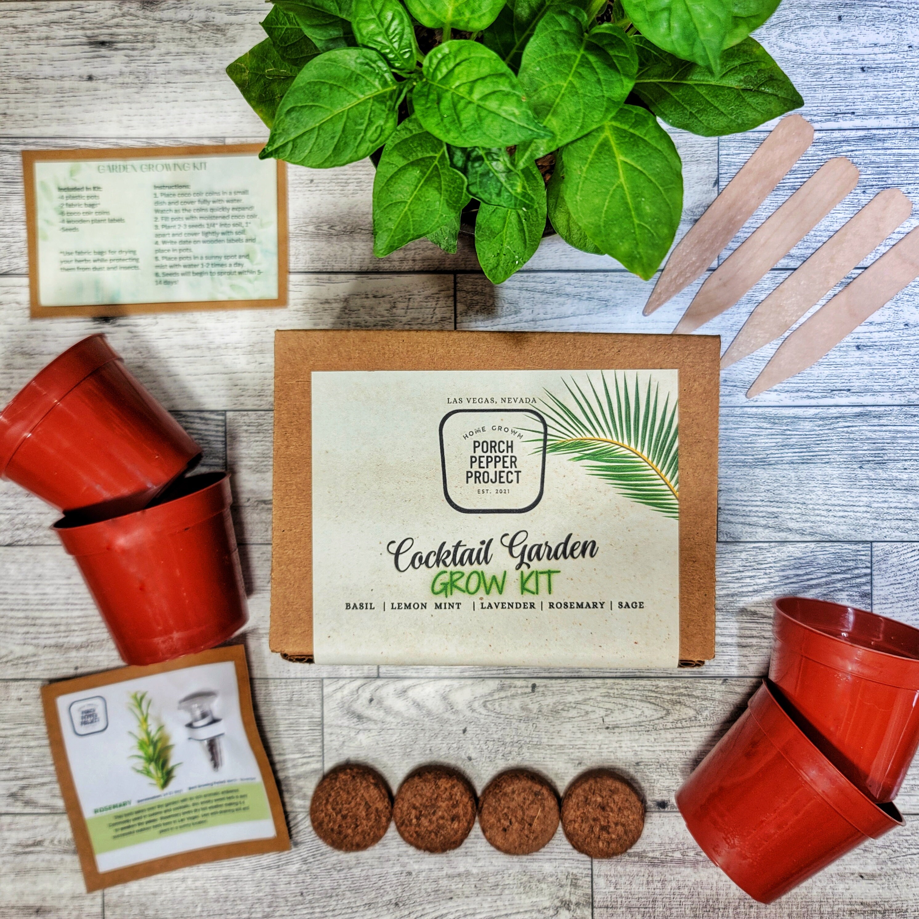 Cocktail Garden Starter Grow Kit - Etsy