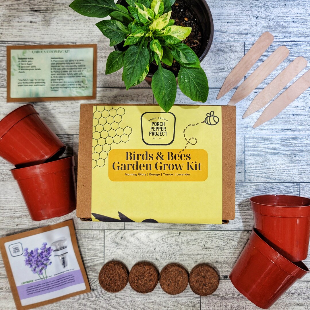 Birds& Bees Garden Starter Grow Kit - Etsy