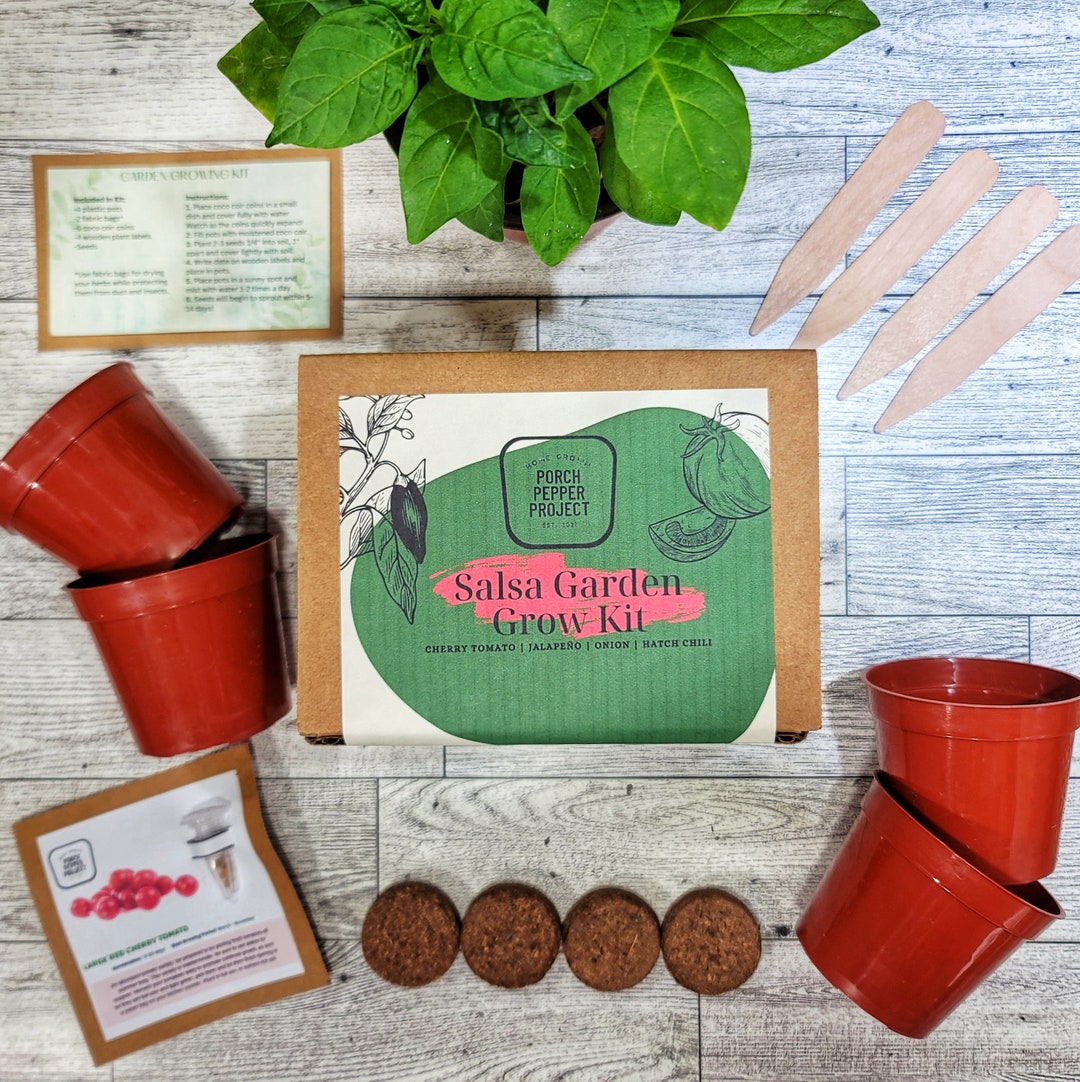Salsa Garden Starter Grow Kit - Etsy