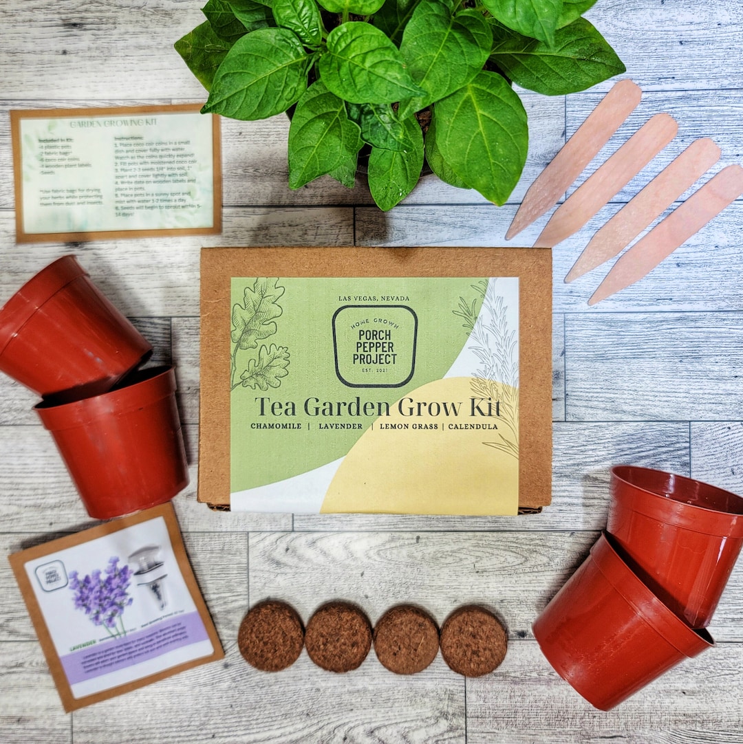 Herbal Tea Mini Garden Starter Kit - Etsy