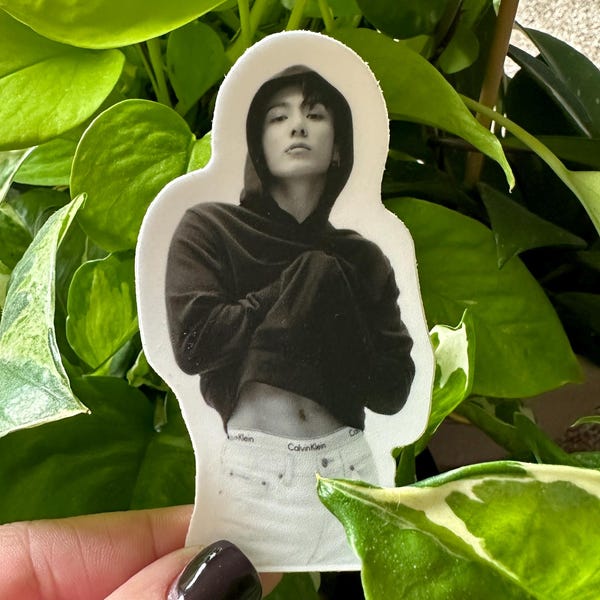 Jungkook Stickers - Etsy