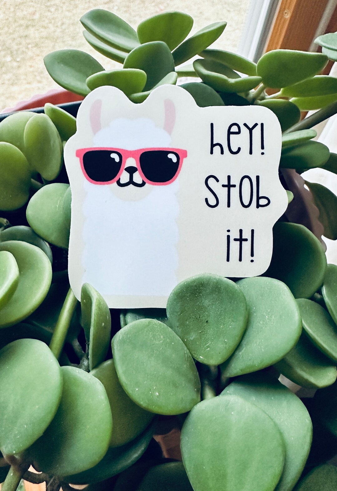 BTS Jin Hey Stob It! Sticker - Etsy