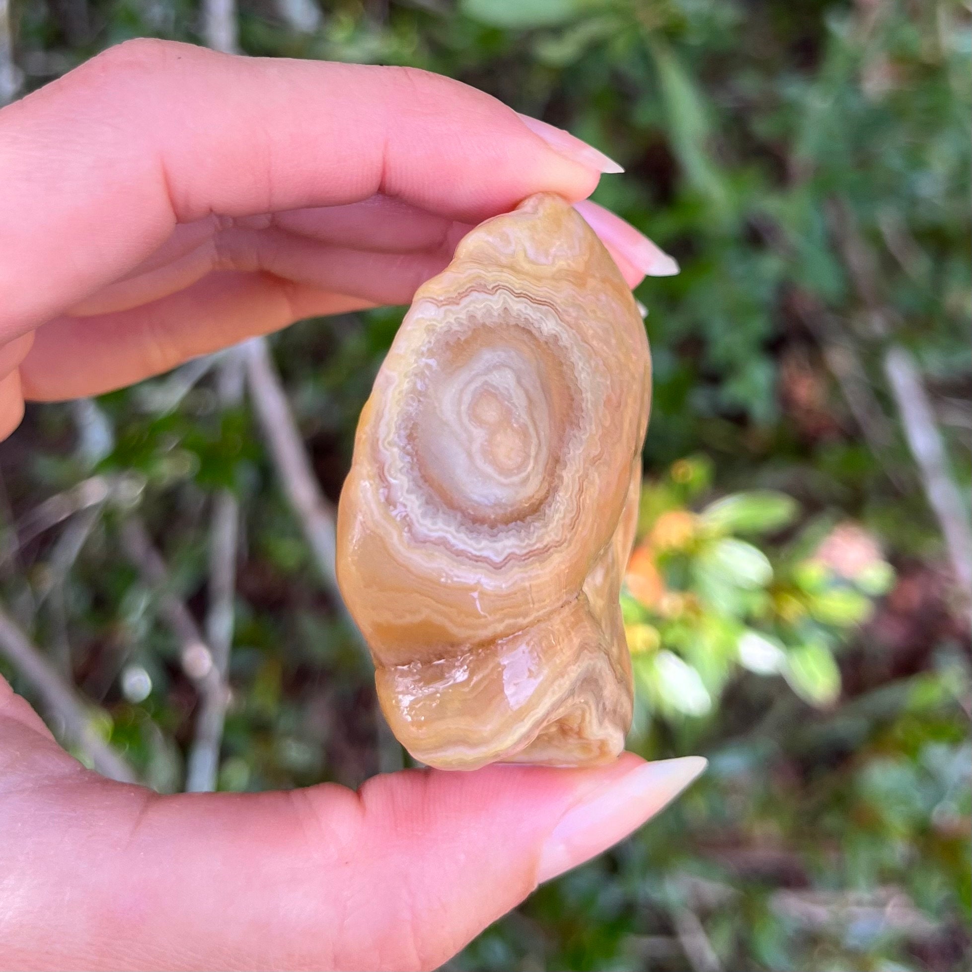 Louisiana Crowley Ridge Agate - Etsy