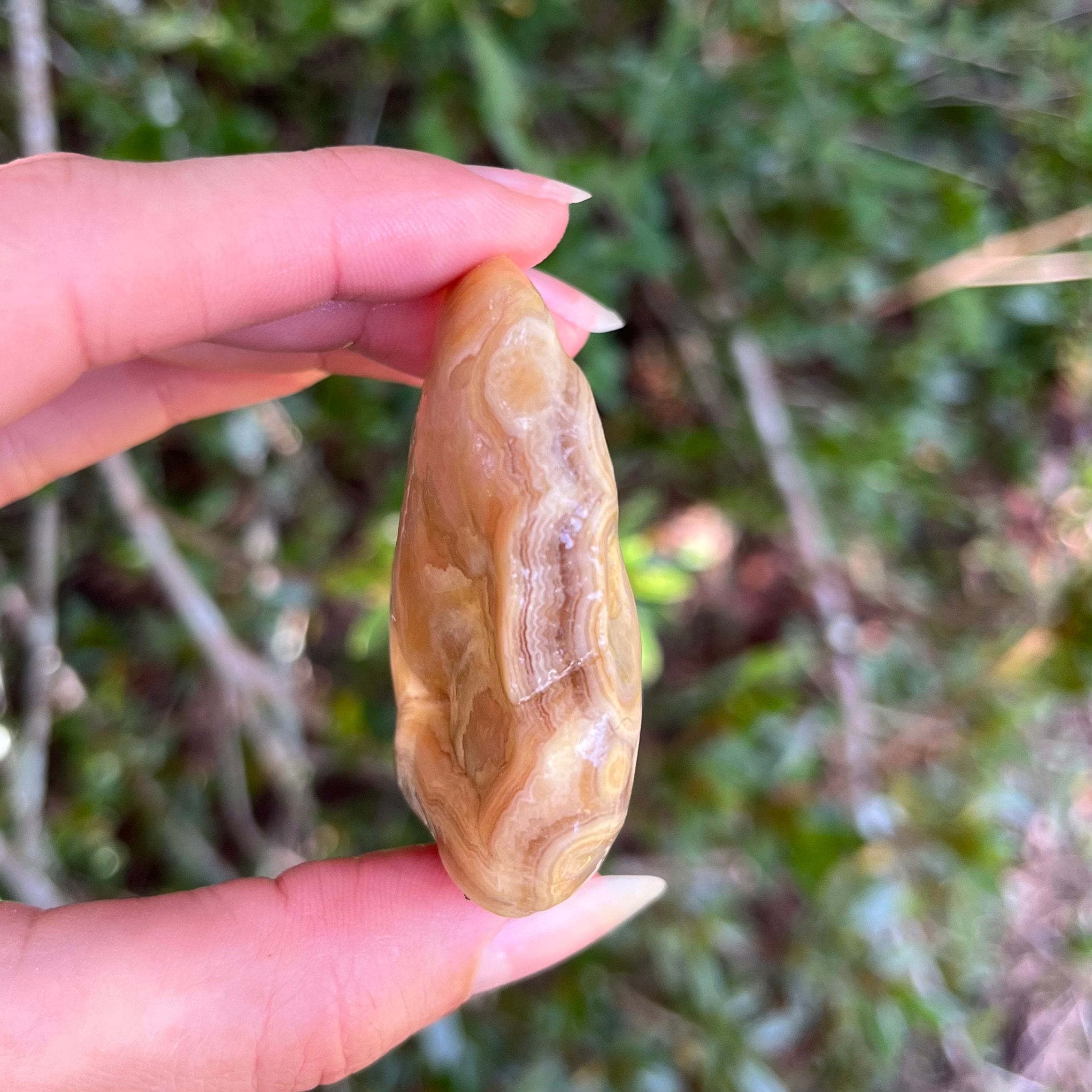 Louisiana Crowley Ridge Agate - Etsy