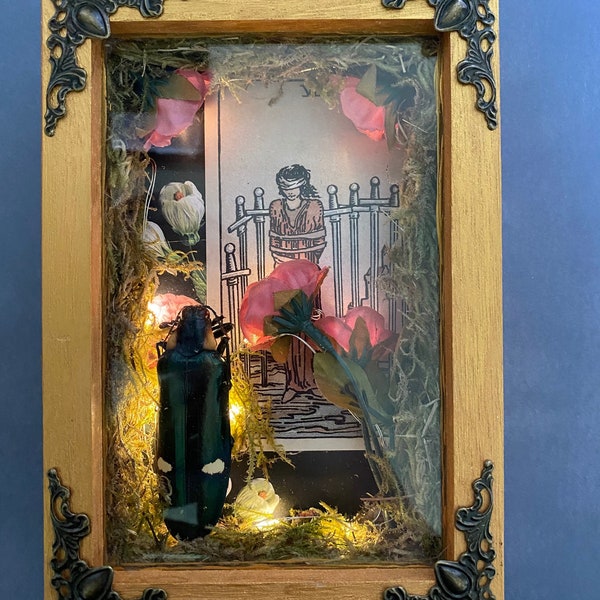 Sword Shadow Box - Etsy