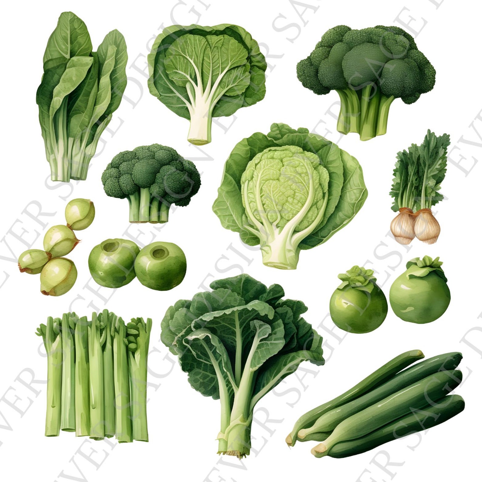 Vegetable Clipart - Veggie Clipart - Vegetables Clipart - Food Clipart ...