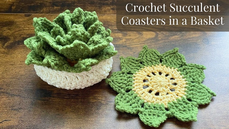 Crochet Succulent Coasters in a Basket Pattern - Etsy