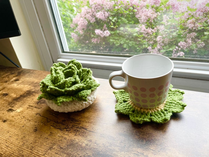 Crochet Succulent Coasters in a Basket Pattern - Etsy
