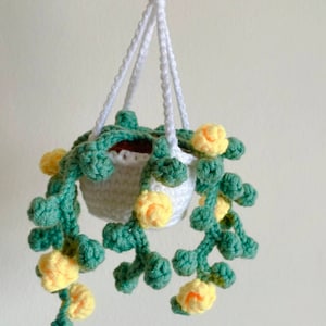 Crochet Mini Hanging Plant Pattern - Etsy