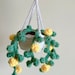 Crochet Mini Hanging Plant Pattern - Etsy