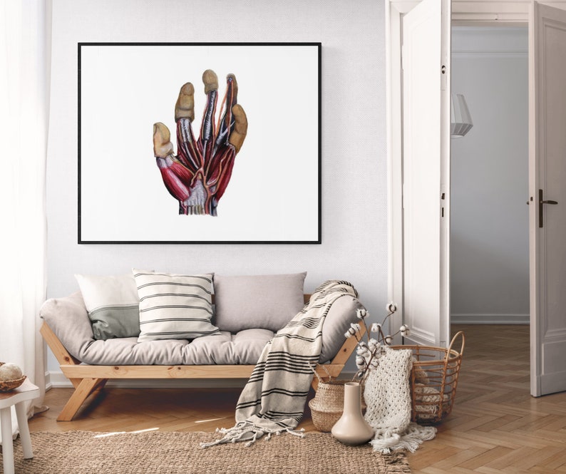 Muscles of Hand Digital Hand Drawn Art Anatomy Illustration - Etsy