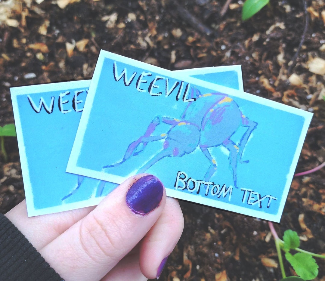Weevil Bottom Text Sticker, Vinyl Kiss-cut 3in, Glossy or Holographic ...