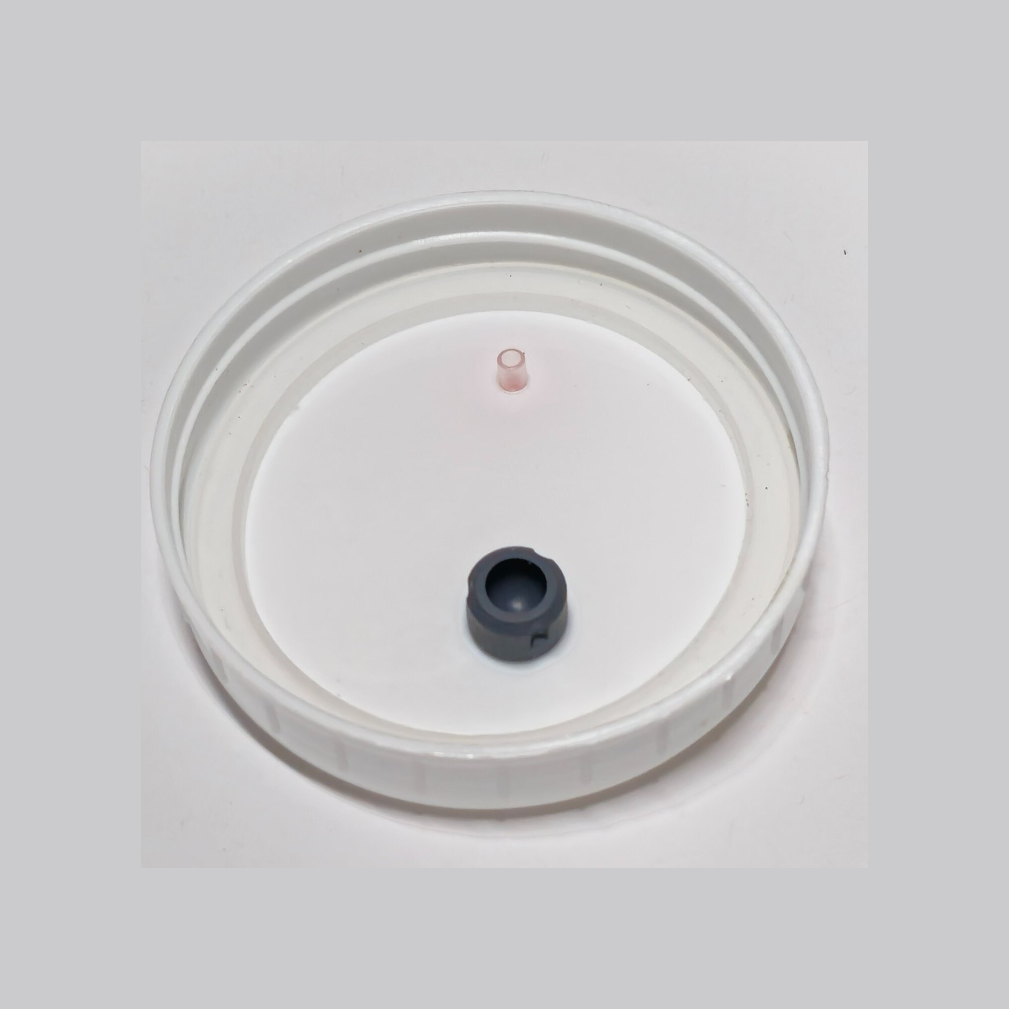 6 Pack Wide Mouth Mason Jar Lids for Liquid Culture, Grain Spawn ...