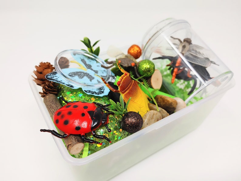 Mini Bugs Play Dough Kit, Insect Sensory Bin, Insect Playdough Kit,bugs ...