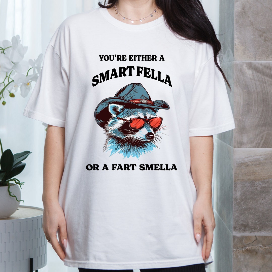Are You A Smart Fella or A Fart Smella, Raccoon Graphic Shirt, Raccoon ...