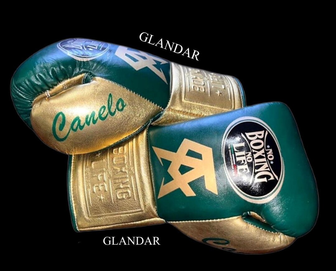 New Customized Canelo Handmade No Boxing No Life Boxing Gloves GREEN - Etsy
