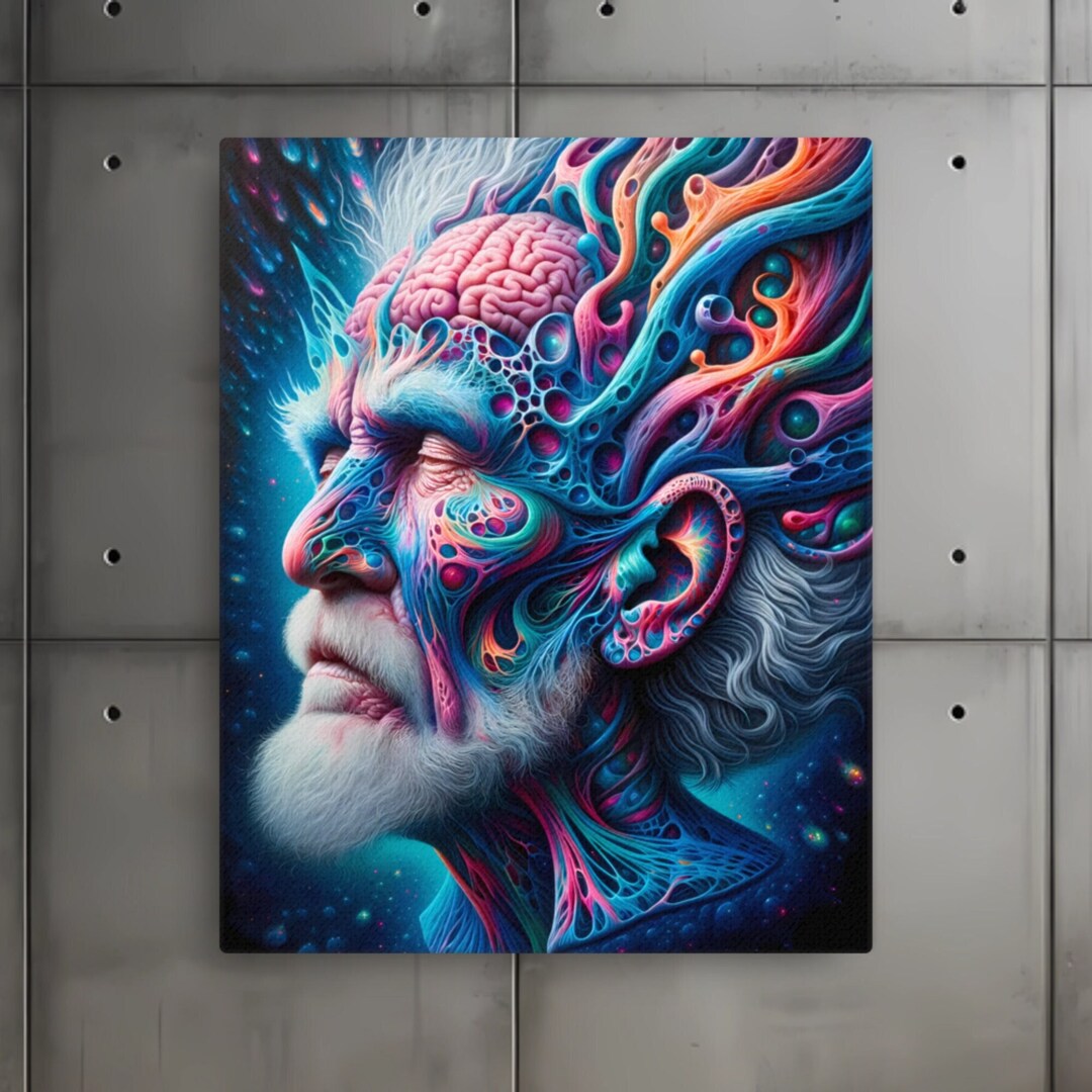 Human Engaging With DMT Canvas Wall Art - Etsy