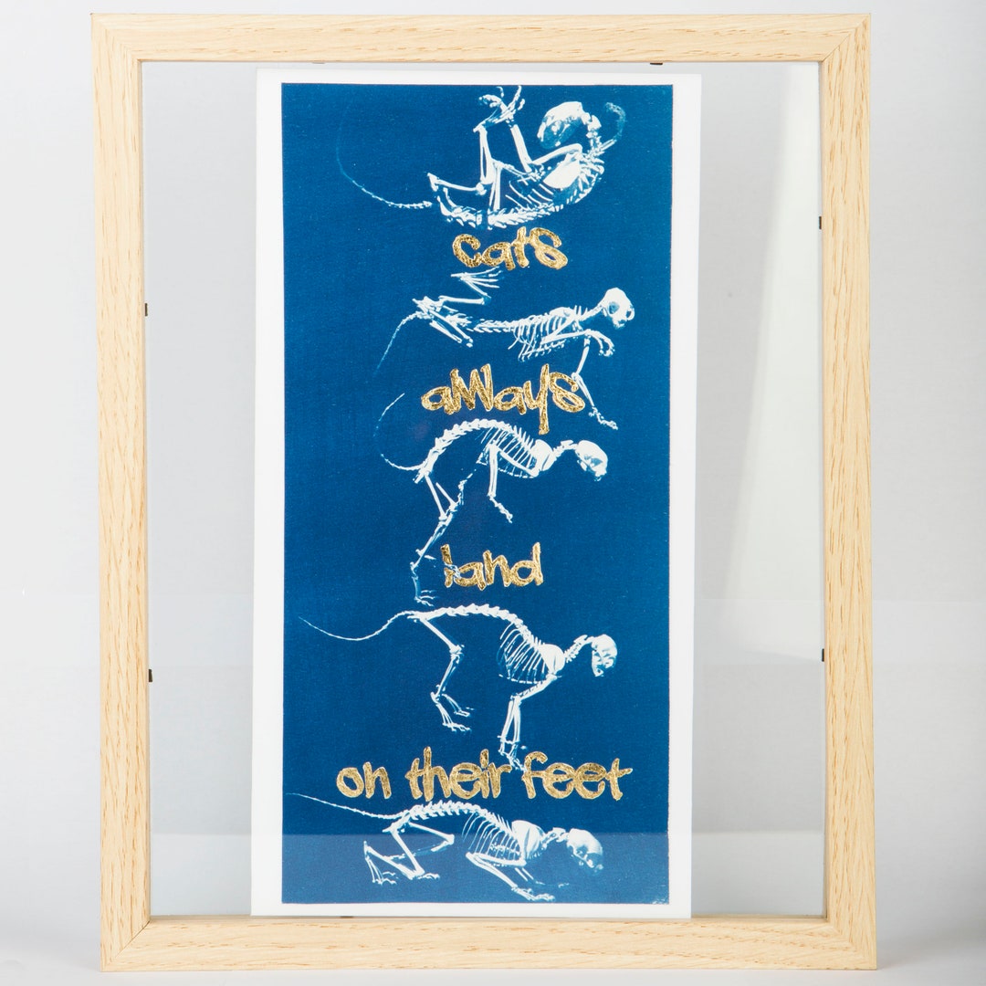 Cats Always Land of Their Feet Cyanotype Limited Edition - Etsy
