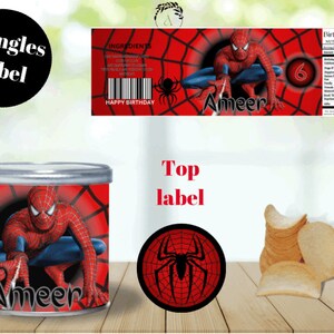 Superhero Spider Party Labels Chip Bag Water Rice Treat Juice Paint Set ...