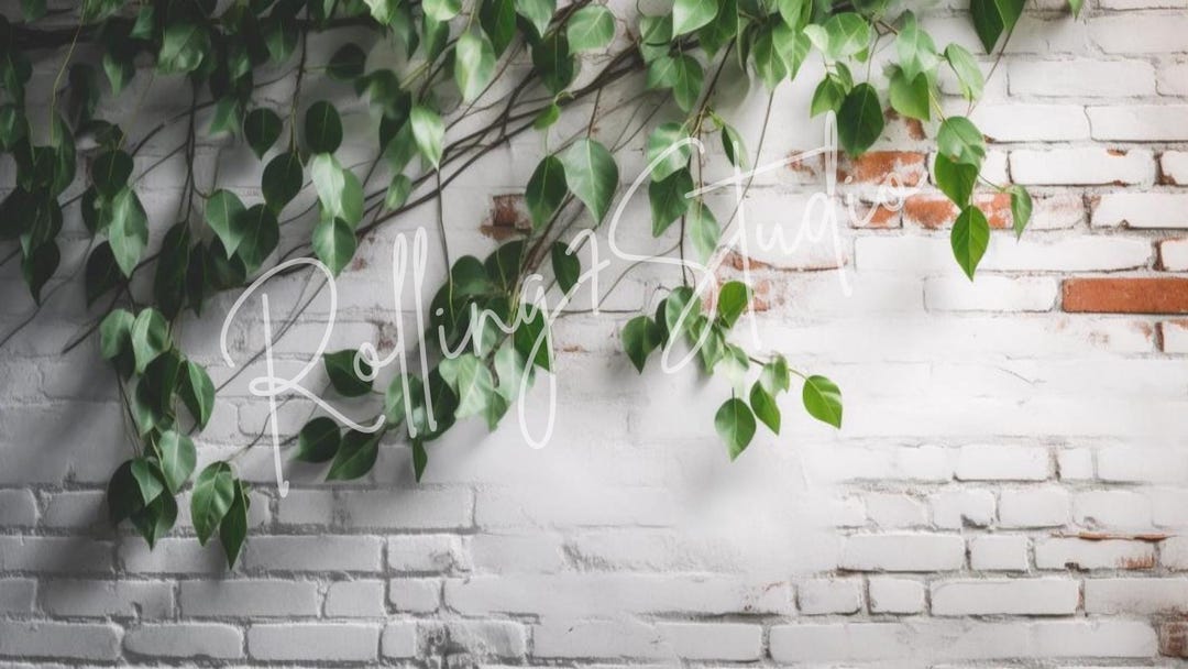 Ficus Leaves Zoom Background – Washed Brick Wall (digital Download) - Etsy