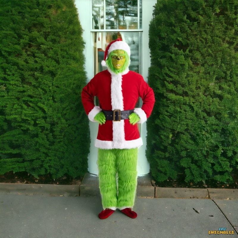 The Grinch Who Stole Christmas Costumes