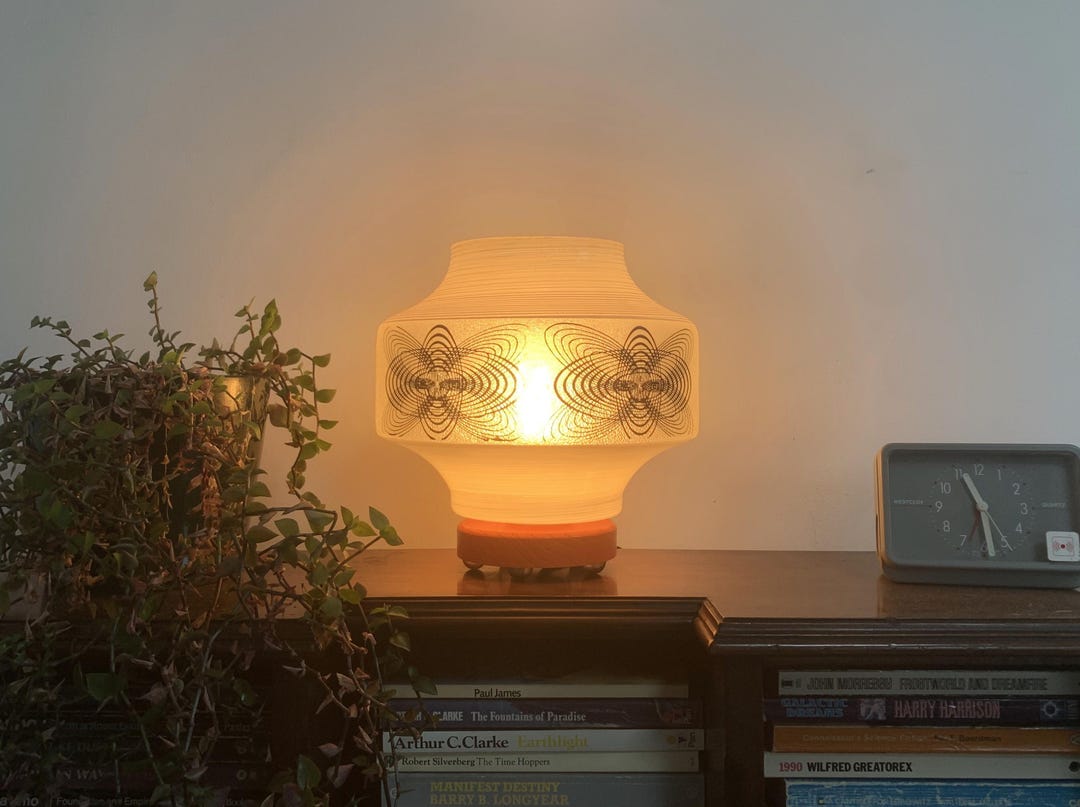 Butterfly Effect / Chaos Theory Atomic Mid Century Converted Glass ...