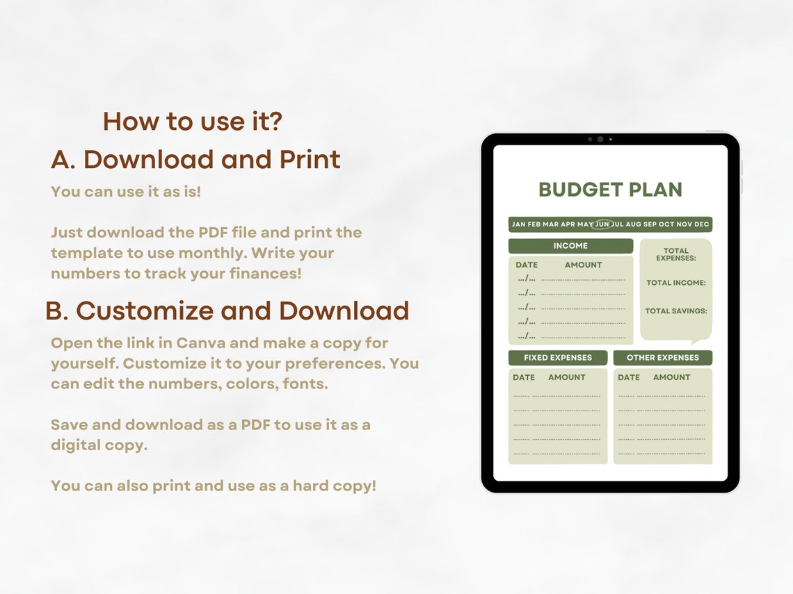 Monthly Budget Planner Printable Template Digital Planner for Tablet ...
