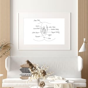 Vulva Drawings With Anatomical Notes Digital Prints in Various Formats ...