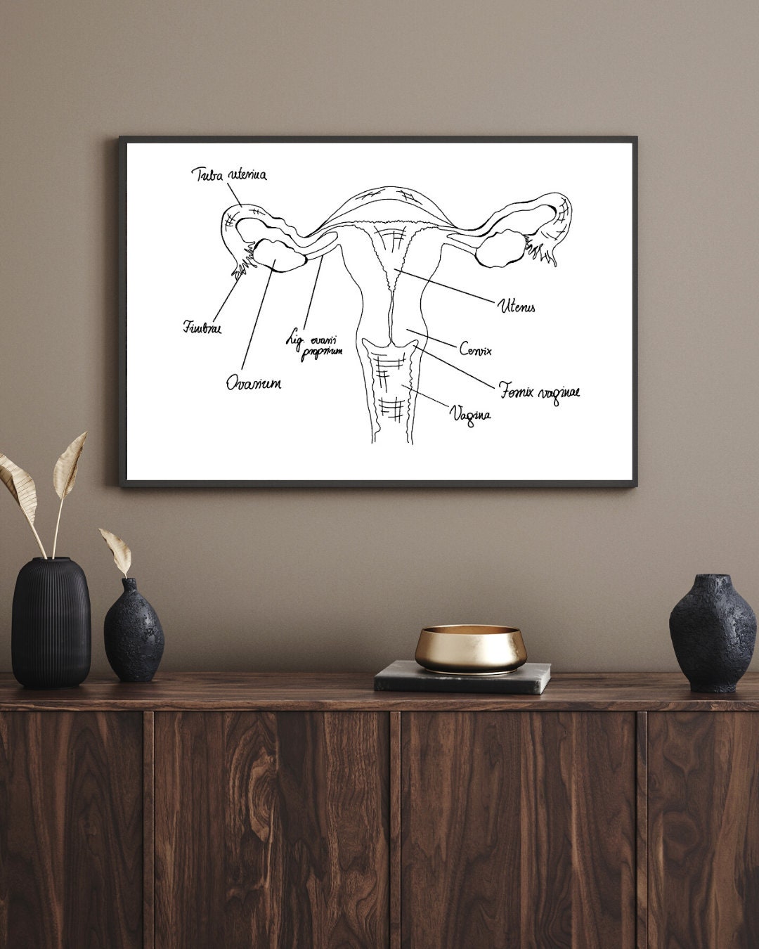 Uterus Drawings With Anatomical Notes Digital Prints in Various Formats ...